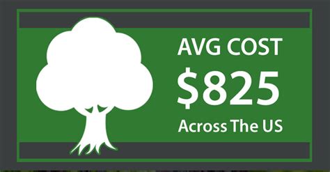 How Much Does Tree Removal Cost Phoenix Trim A Tree LLC