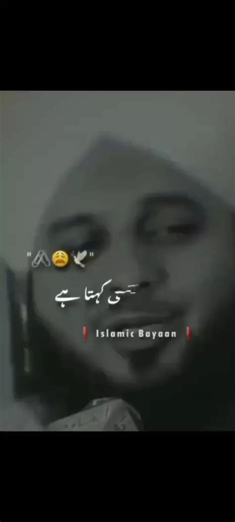 육변기형님 풀정리