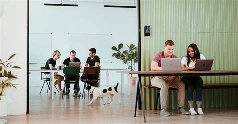 Mews Developers Make It Remarkable