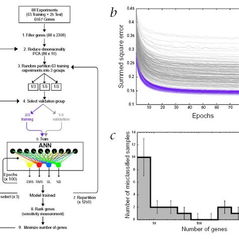 hierarchical clustering and multidimensional scaling analysis the top
