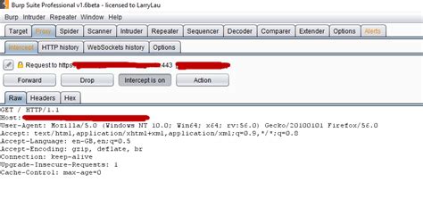 Solution Ssl Handshake Alert Error Burp Suite Yeah Hub