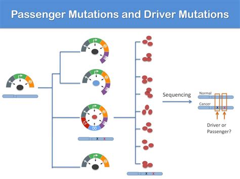 Ppt Cancer Sequencing Powerpoint Presentation Free Download Id5769423