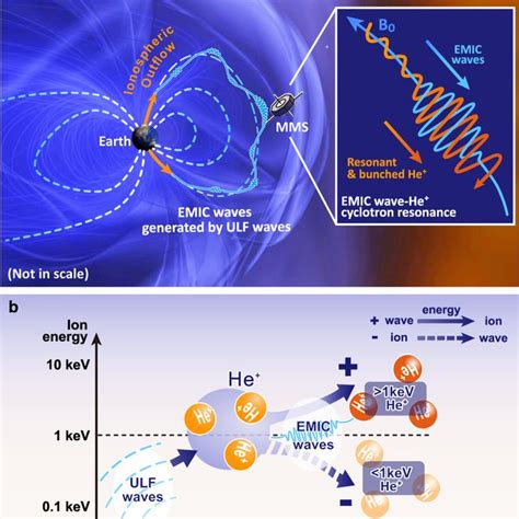 Schematic Diagrams Summarizing The Simultaneous Macroscale And