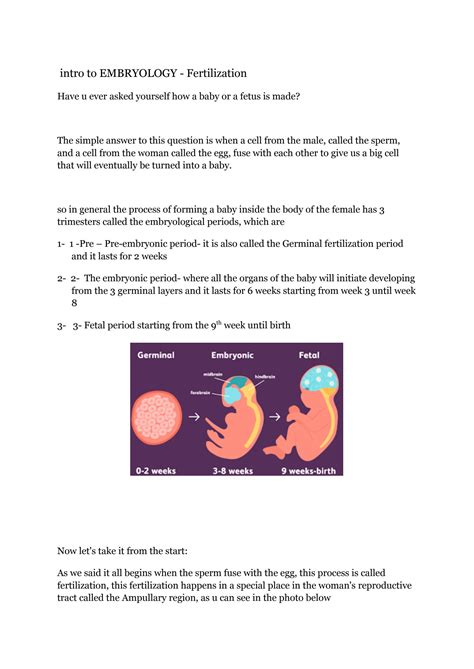 Solution Intro To Embryology Fertilization Process Studypool