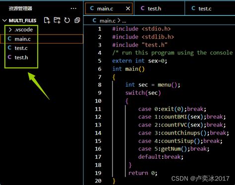 VS Code安装及(C/C++)环境配置(Windows系统)_vs code c++ windows-CSDN博客