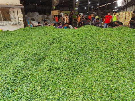 Koustubh Rajepandhare On Linkedin Neeryat Exportdreams Partloadrevolution Exportimport