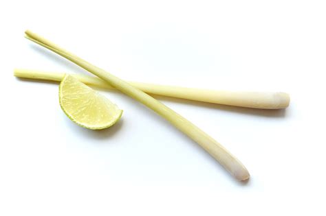 40 Free Lemongrass And Food Images Pixabay
