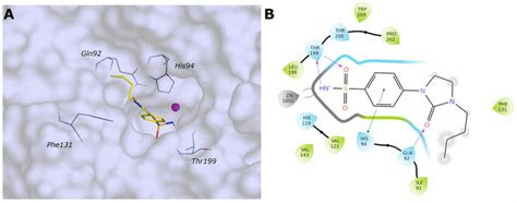 A Predicted 3d Binding Mode And B Corresponding Ligand Interaction
