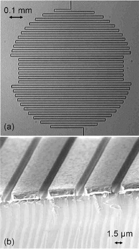 Figure 1 From A Microfabricated Sensor For Thin Dielectric Layers Semantic Scholar