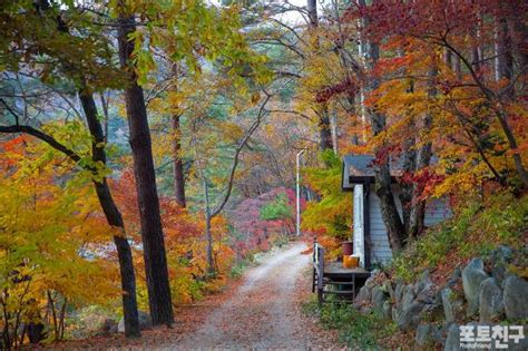 포토친구 단풍이 아름다운 길