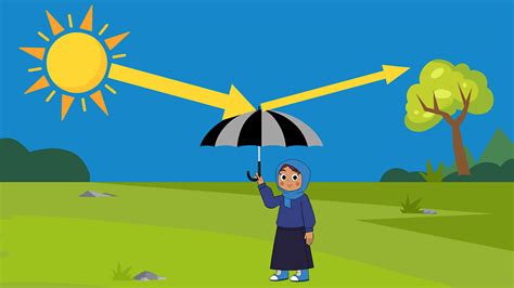 What Is Reflection Ks2 Science Curriculum Bbc Bitesize