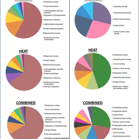 Pie Charts Showing Summarised Gene Ontology Go Analysis Of The Total