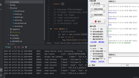 【go Tcpcat】go Tcp服务器框架 支持hook、功能码函数go Tcp服务 Github 高星 Csdn博客