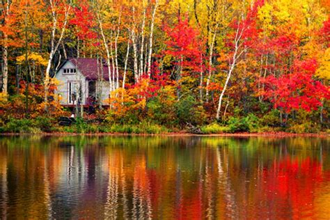Every Autumn Something Magical Happens In Vermont Cambrian Rise In