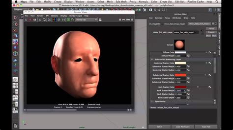 Skin Shading In Maya Tutorial Youtube