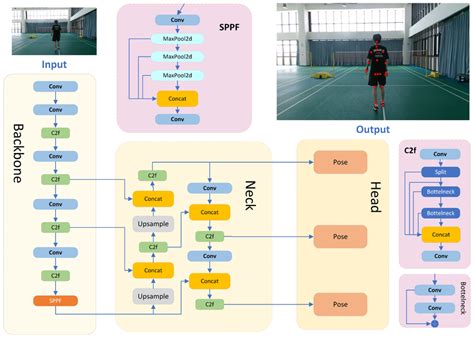 The Network Architecture Of Yolov8 Pose Download Scientific Diagram