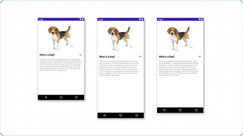 Textview Reveal Animation On Android Droidcon