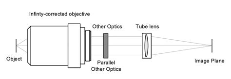 A Comprehensive Microscope Objective Guide Avantier Inc A Comprehensive Microscope Objective Guide Avantier Inc