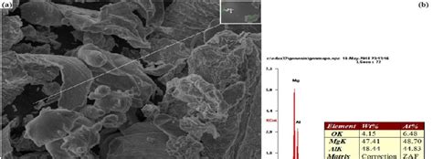 Microstructure And Elemental Analysis Of The Al 50 At Mg System T