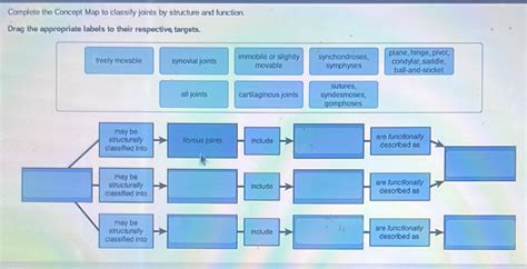 Complete The Concept Map To Classify Joints By Structure And Function Drag The Appropriate