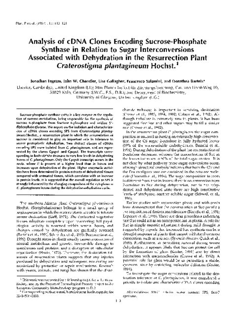 Pdf Analysis Of Cdna Clones Encoding Sucrose Phosphate Synthase In Relation To Sugar