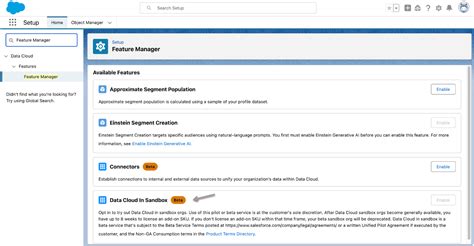Data Cloud In Sandbox Environments Is Now In Beta Salesforce