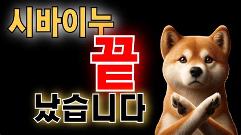시바이누 』 끝 났습니다 진짜로 매수금지 밈코인 다음타자는 누구인가 시바 시바이누 시바전망 비트코인 도지코인 비트토렌트 리플 Youtube