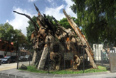 Tacuba La Calle Más Antigua De La Cdmx Difusionar