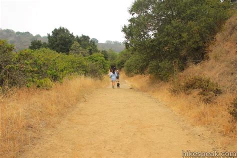 Fryman Canyon Loop Trail Los Angeles