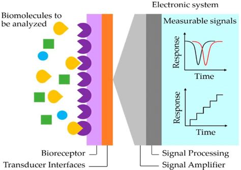 Different Virus Detection Methods Download Scientific Diagram