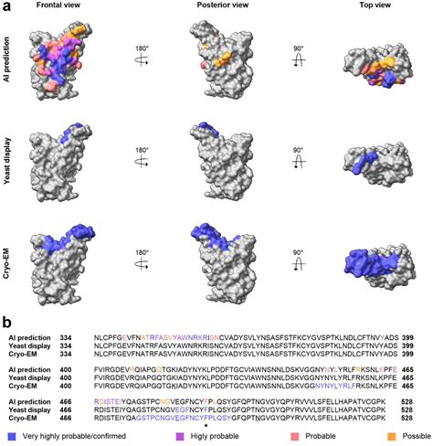 Integrating Artificial Intelligence Based Epitope Prediction In A Sars