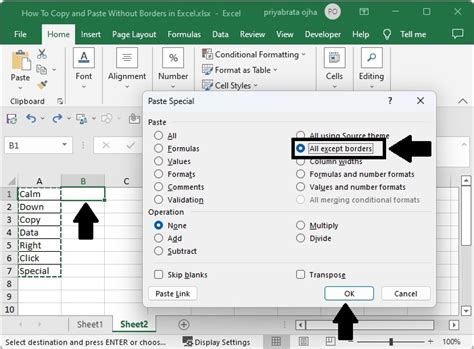 How To Copy And Paste Without Borders In Excel