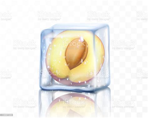 얼음 조각에 있는 신선한 익은 매실 반쪽은 투명한 배경에 분리되어 있다 돌 사실적인 3d 벡터 일러스트레이션으로 얼어붙은 달콤한