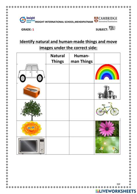 Printable Natural Resources Natural And Man Made Worksheets 59 Off