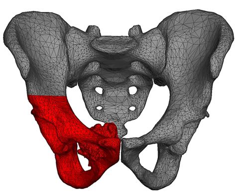 Trabecular Titanium A Unit Cell Geometry B Effective Download Scientific Diagram