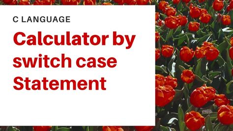 Simple Calculator Using Switch Case Statement Youtube