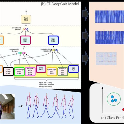 This Is A Summary Of The Gait Recognition Model We Developed A The