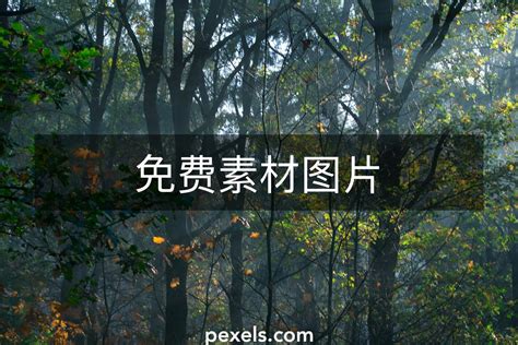 100张最精彩的“sap Erp”图片 · 100免费下载 · Pexels素材图片