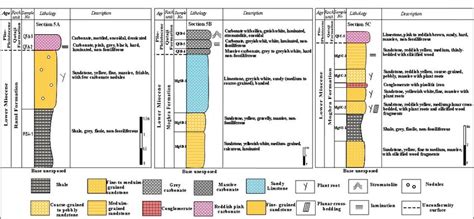 Lithologic Log Showing The Plio Pleistocene Carbonate Units Qataji