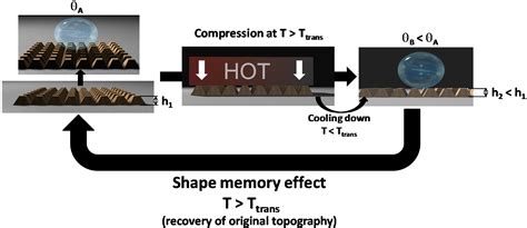 Polymeric Shape Memory Micro Patterned Surface For Switching