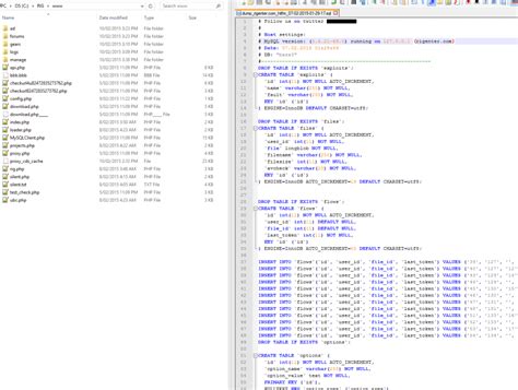 Rig Exploit Kit Source Code Leak