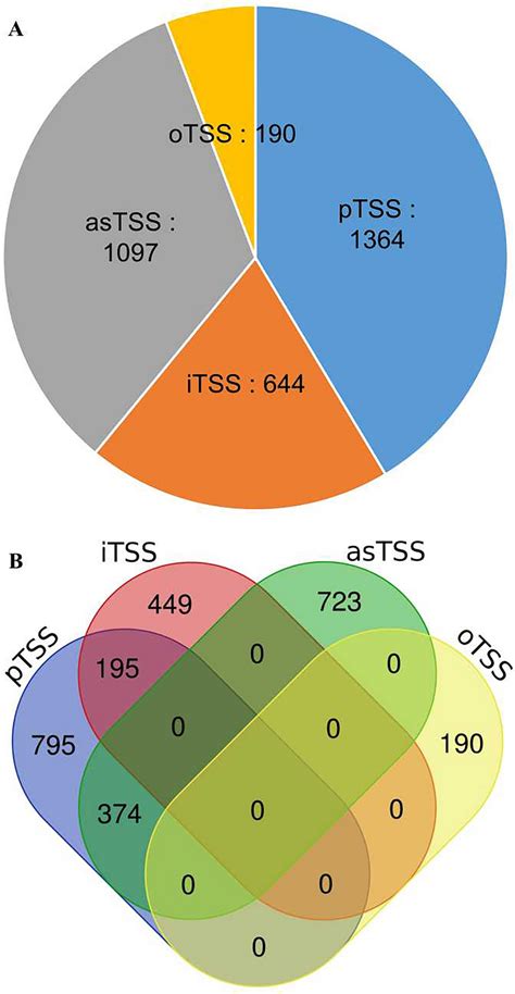Tss Classification A Number Of Tsss In Each Class B Overview Of Tsss