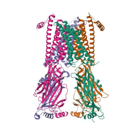 Rcsb Pdb 8c20 Tetrameric 5 Ht3ar In Salipro Holo State Symmetric