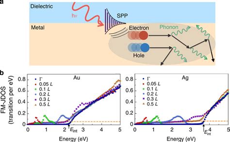Hot Carrier Generation In Au And Ag A Schematic Of A Download Scientific Diagram