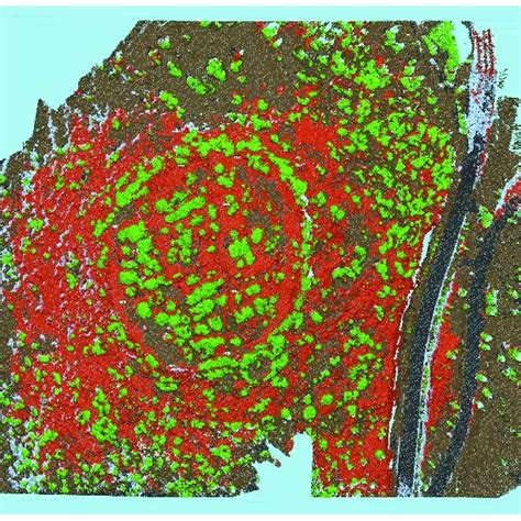 Methods Of Point Cloud Classification In Agisoft Metashape Professional