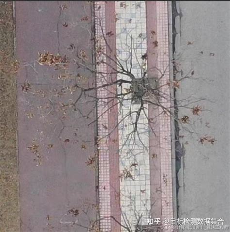 如何使用yolov8训练使用道路病害道路病害数据集 Rdd2022，道路瑕疵数据集 已标注，txt格式和xml格式，实现可视化及评估道路病害检测，将使用yolov8架构来进行目标检测任务。 知乎