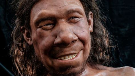 Nine Astonishing Revelations About Human Evolution From The Bbcs Hyper