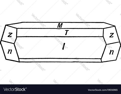 Elongation In The Direction Of Orthogonal Vector Image