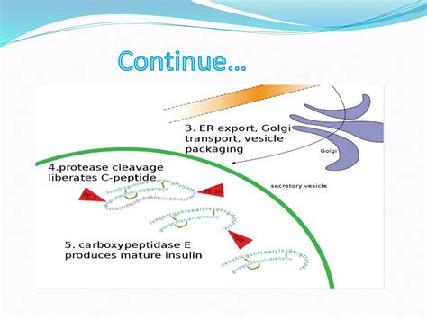 Post Translational Modificationpptx Biological Sciences Science