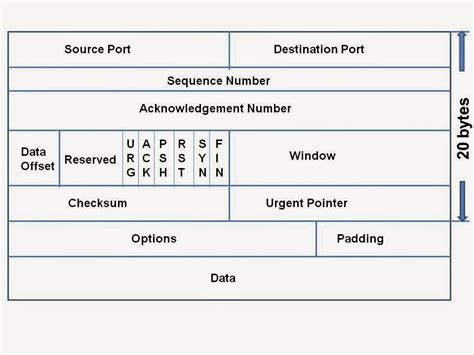 tcp header diagram and or the tcp connection tcp header stru
